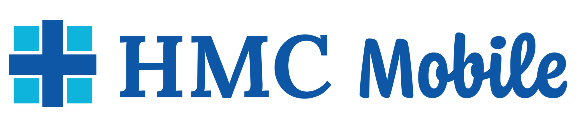 Home - Health Ministries